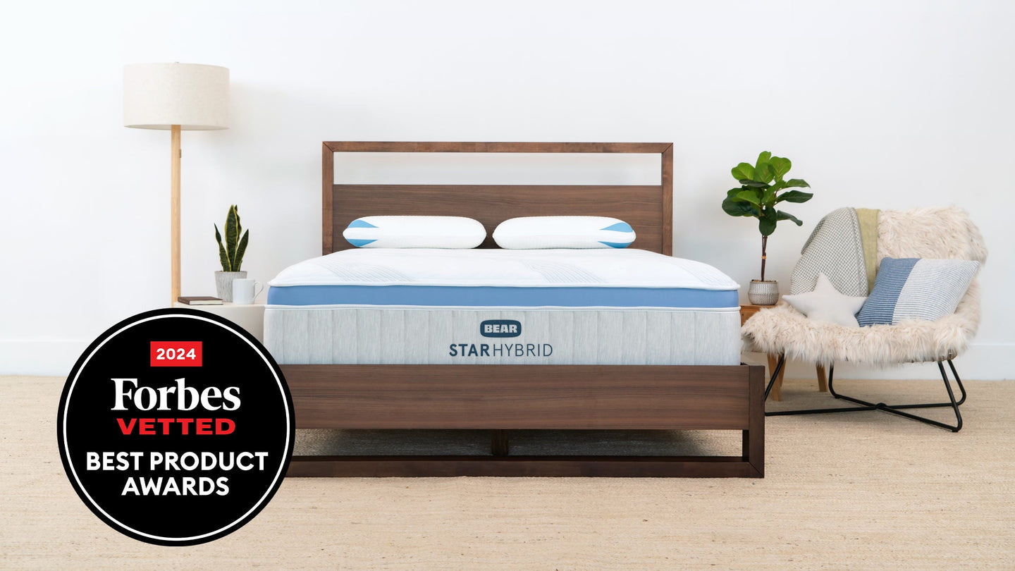 BEAR – NOVUS SLEEP